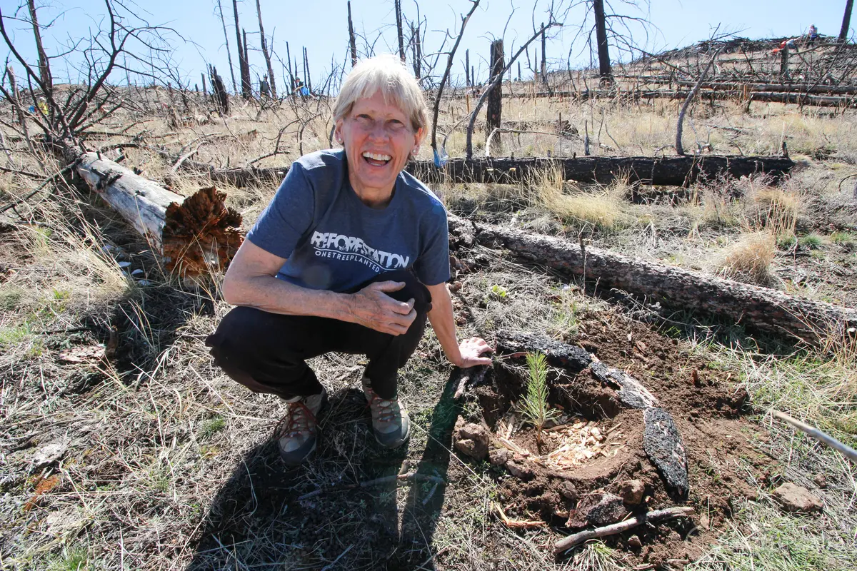 Introducing Our Reforestation Partner