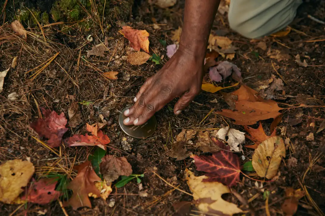 Inurnment vs Interment: 5 Insights | Better Place Forests