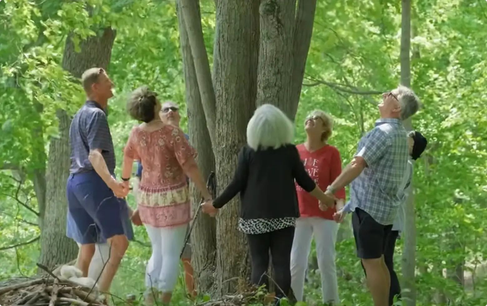The Perfect Family Tree: Groves Story