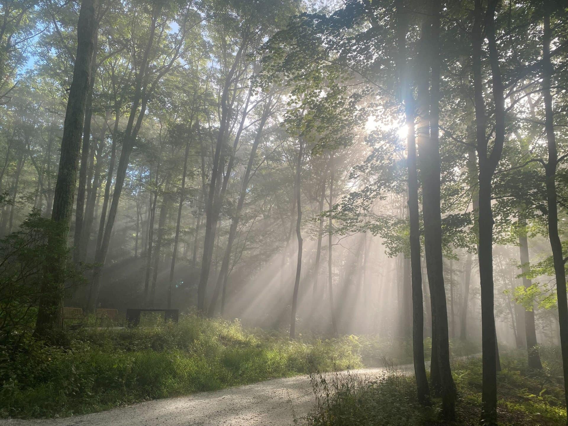 Driving to Litchfield Hills Forest - Better Place Forests