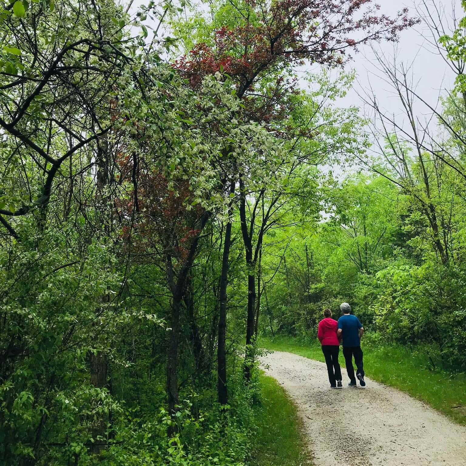 What is a green burial? | Better Place Forests