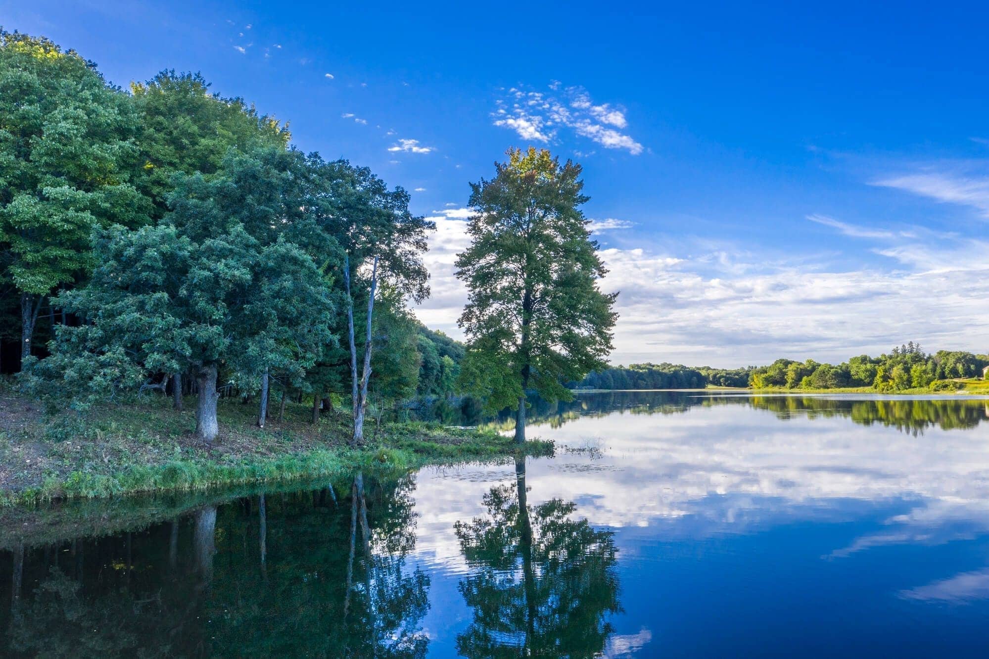 Coming Soon: Better Place Forests St. Croix Valley