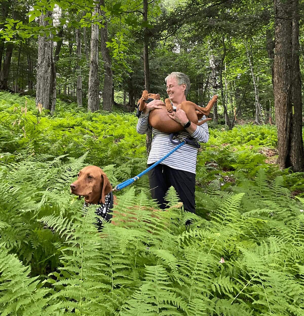 Pets in End-of-Life: Diane's Story - Better Place Forests