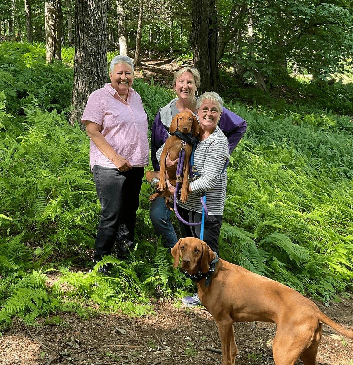 Pets in End-of-Life: Diane's Story - Better Place Forests