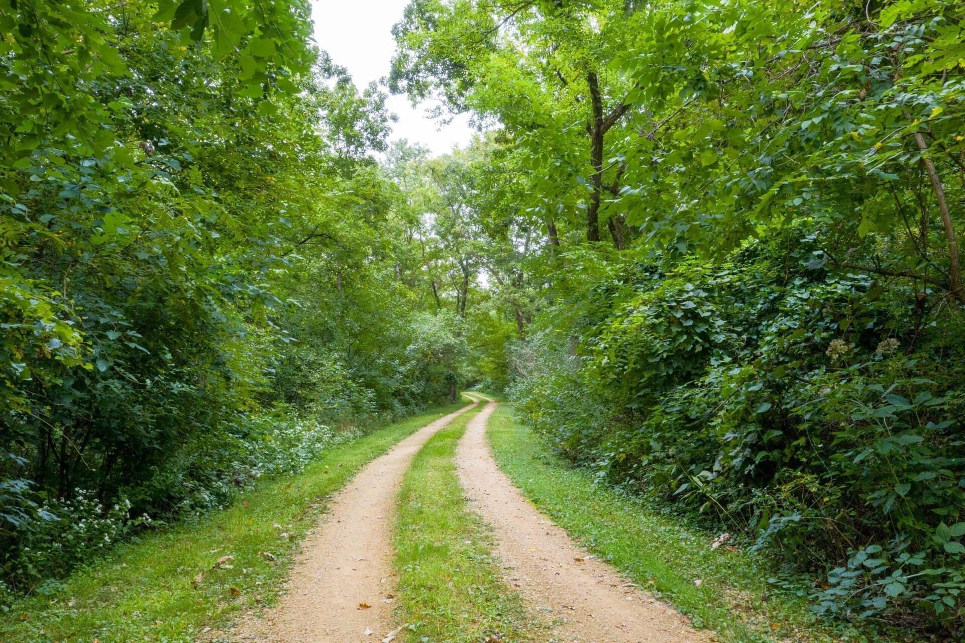 How we select our memorial forests | Better Place Forests