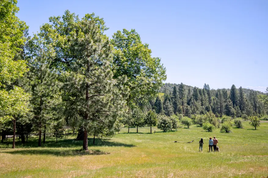 Partners Directory | Better Place Forests