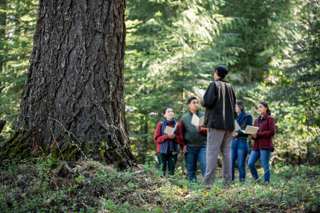 Trees that live the longest | Better Place Forests