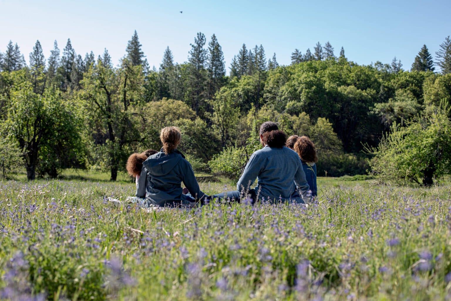 Become a Partner | Better Place Forests