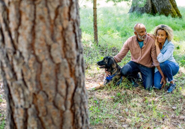 Become a Partner | Better Place Forests