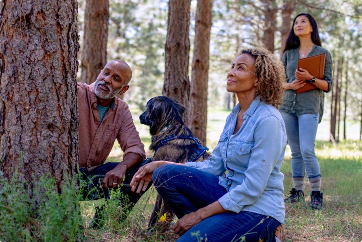How It Works - Forest Memorials | Better Place Forests