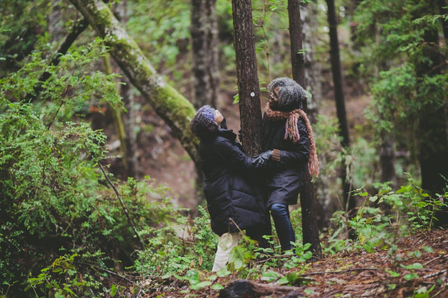 Spiritual Connection | Better Place Forests