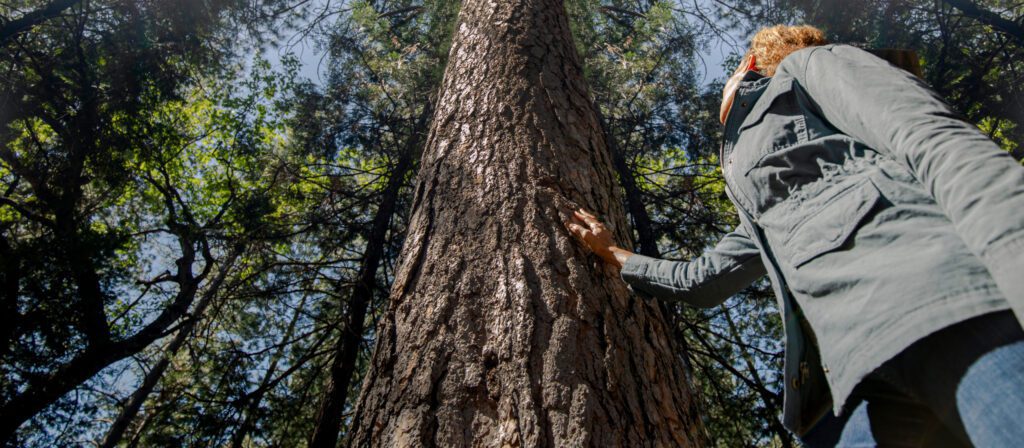 What Is Embalming? The Reasons and Methods