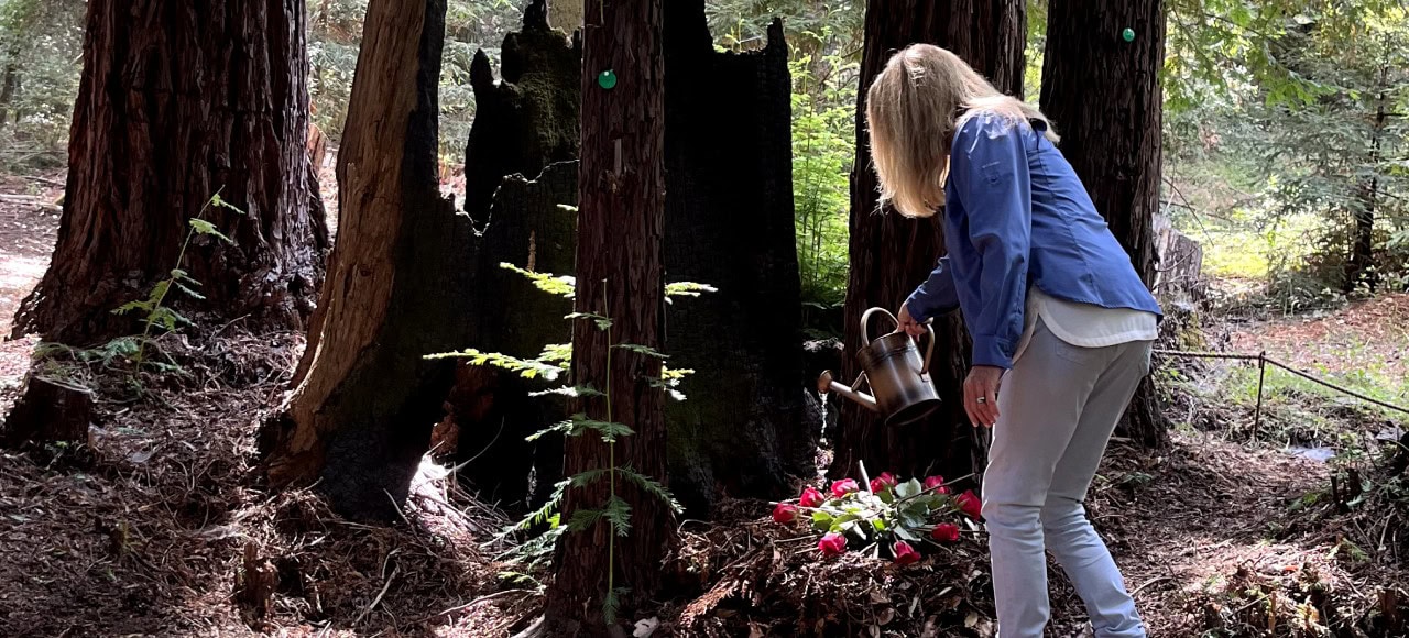 Michael’s next chapter | Better Place Forests