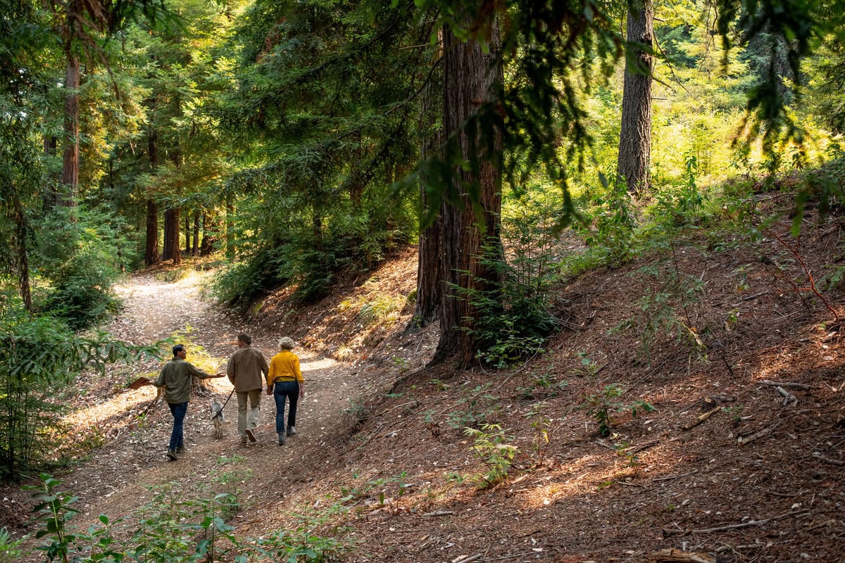 What States Allow Human Composting (2024)