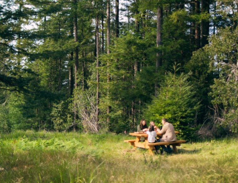 Planning Ahead | Better Place Forests