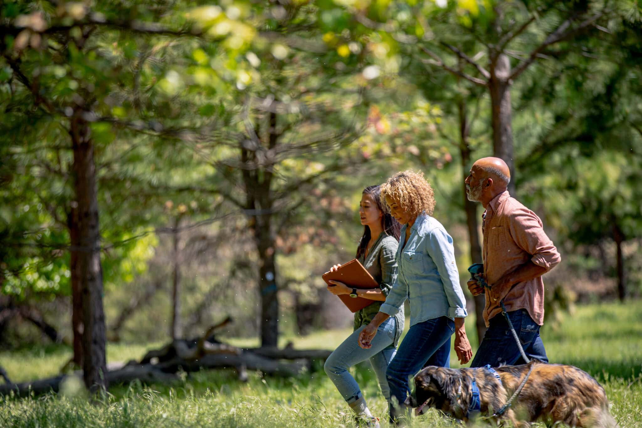 A Guide to Better Place Forests: Your Questions Answered | Better Place ...