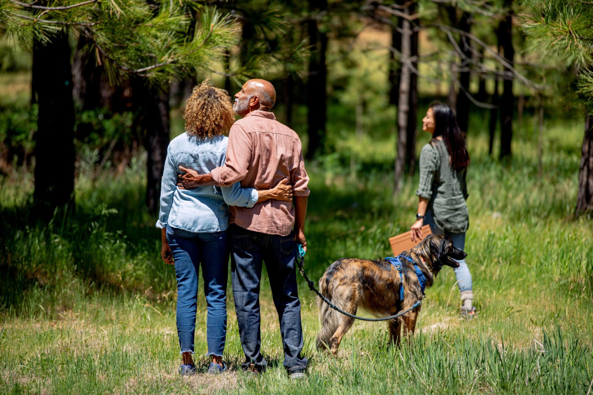 A Guide to Better Place Forests: Your Questions Answered | Better Place Forests