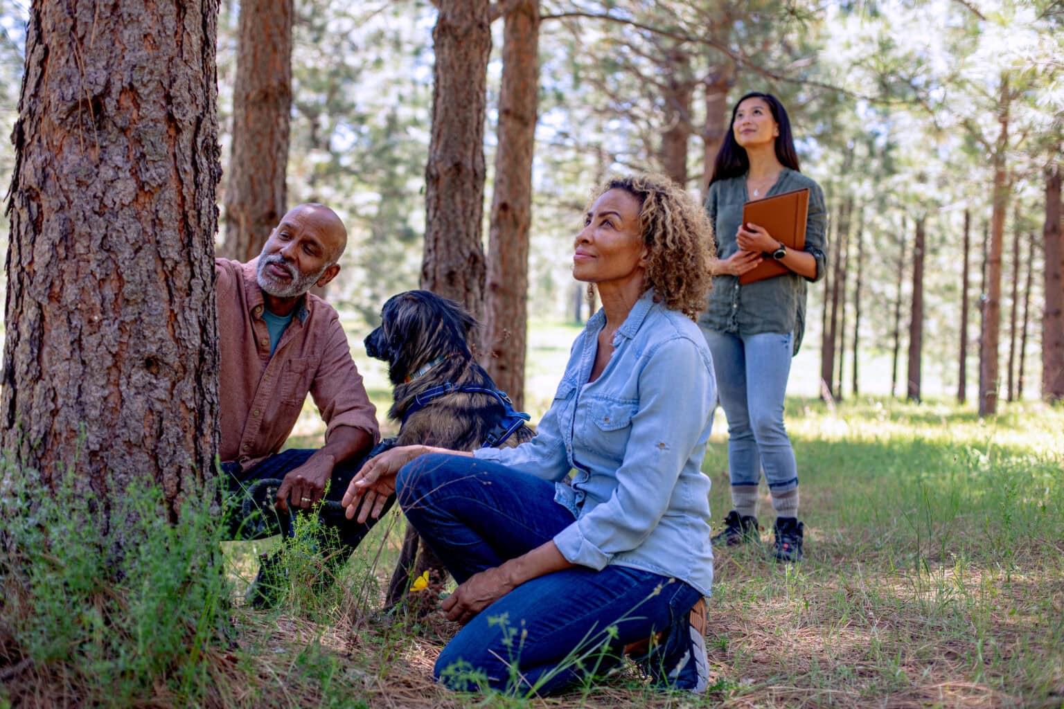 A Guide to Better Place Forests: Your Questions Answered | Better Place Forests