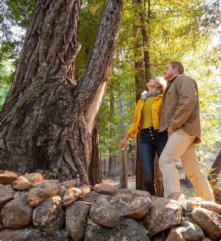 9 Affordable Burial and Cremation Options | Better Place Forests