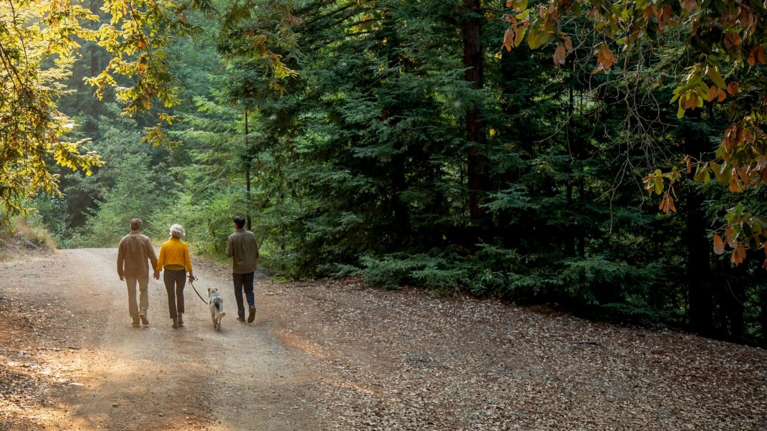 Explainer Page | Better Place Forests