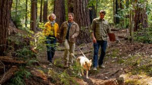 Explainer Page | Better Place Forests