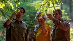 Explainer Page | Better Place Forests