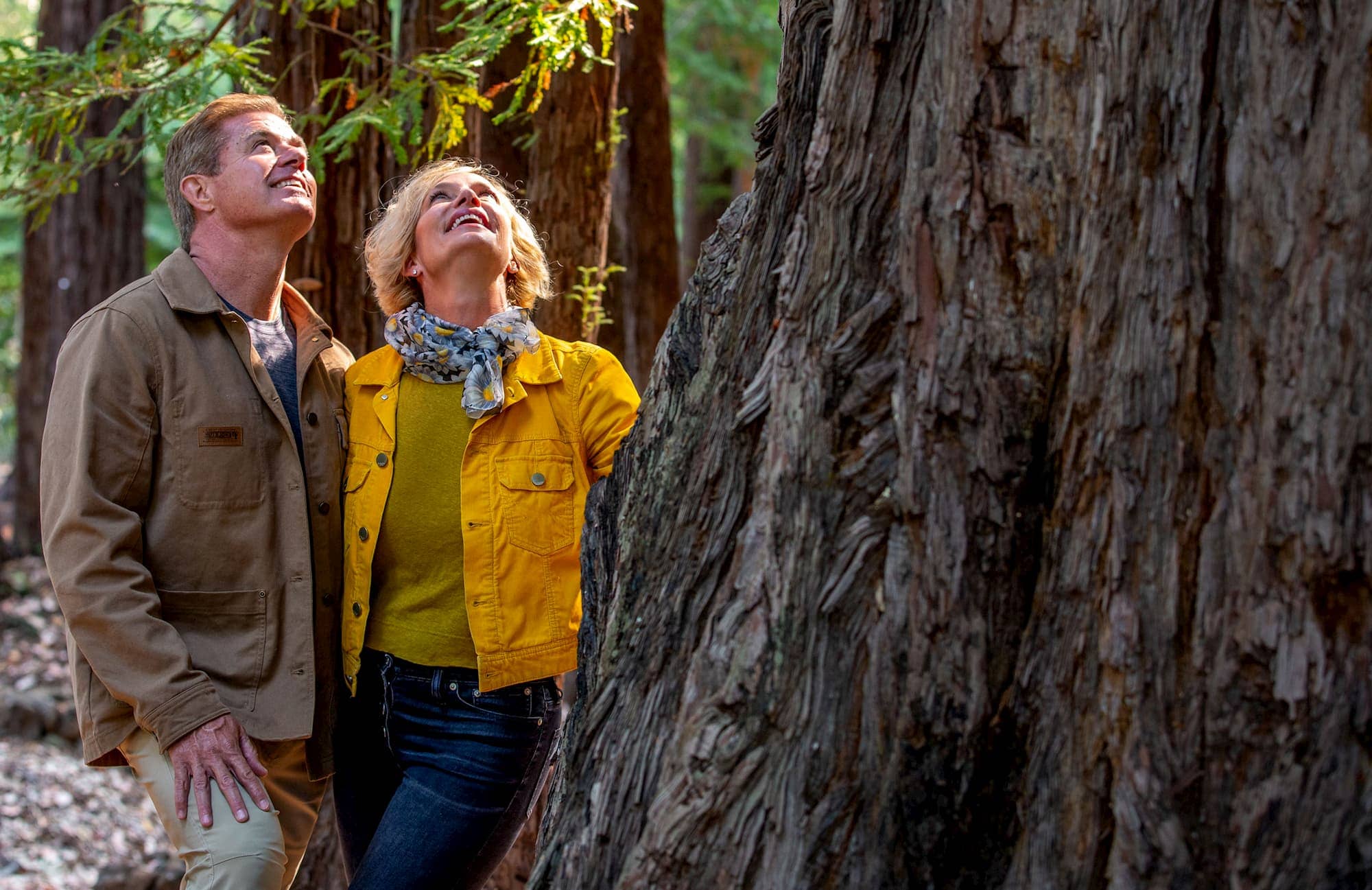 Explainer Page | Better Place Forests