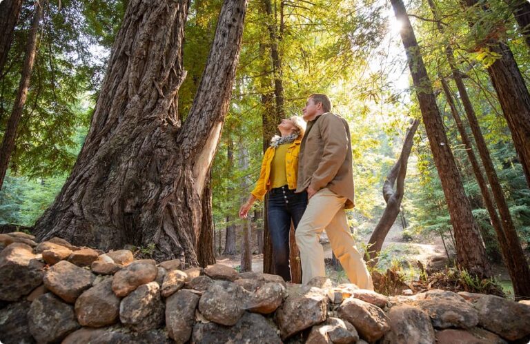 10 Reasons Why Spring is the Best Season